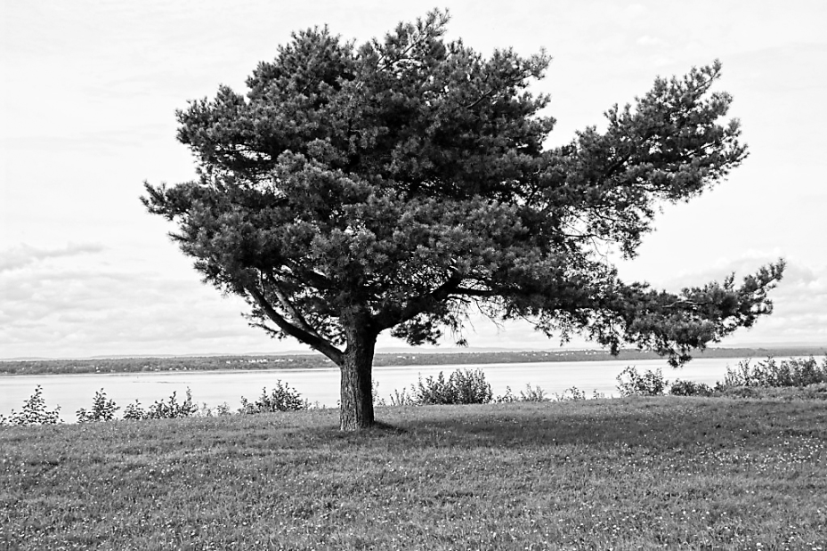 Les images de Robert Perrault exposées à Lévis