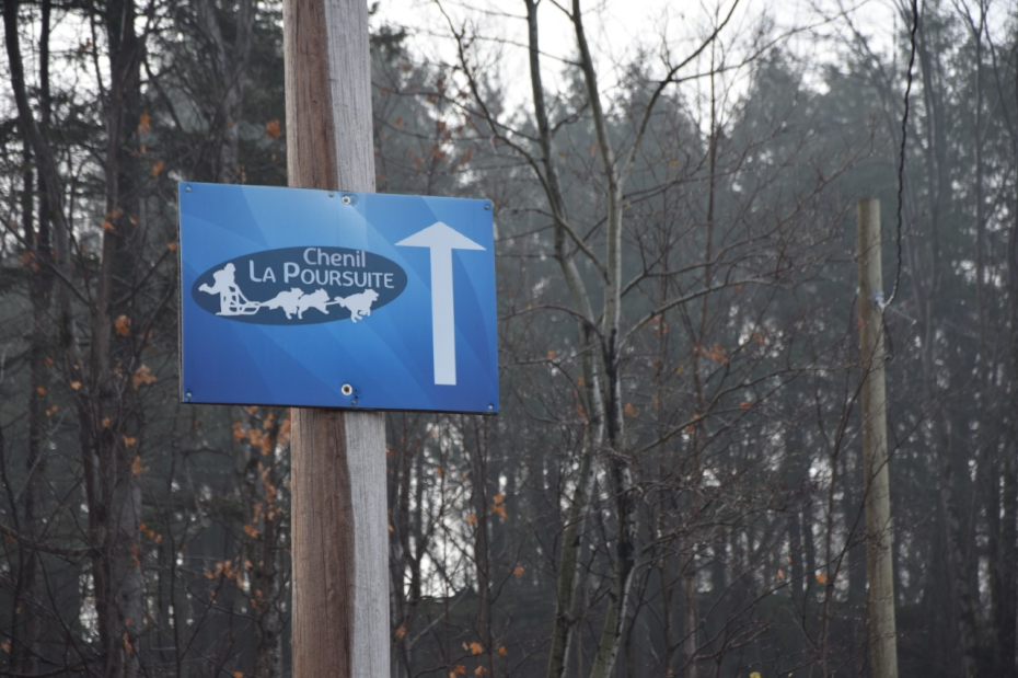 Intervention du MAPAQ au Chenil La Poursuite